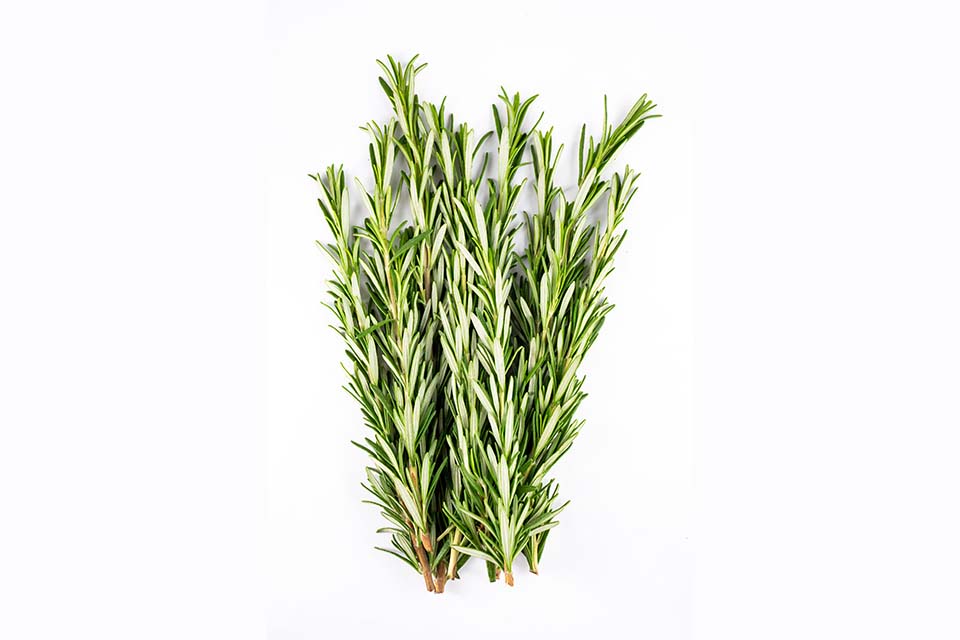 Our Products | Genting Garden